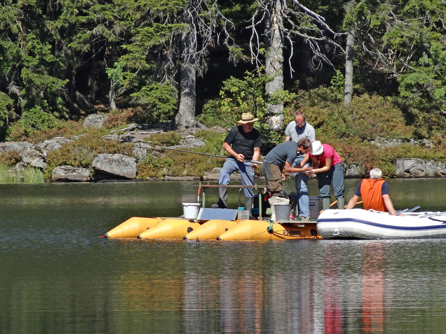 Forscher entdecken Vulkanasche aus der Eifel im Bayerischen Wald - MuW ...