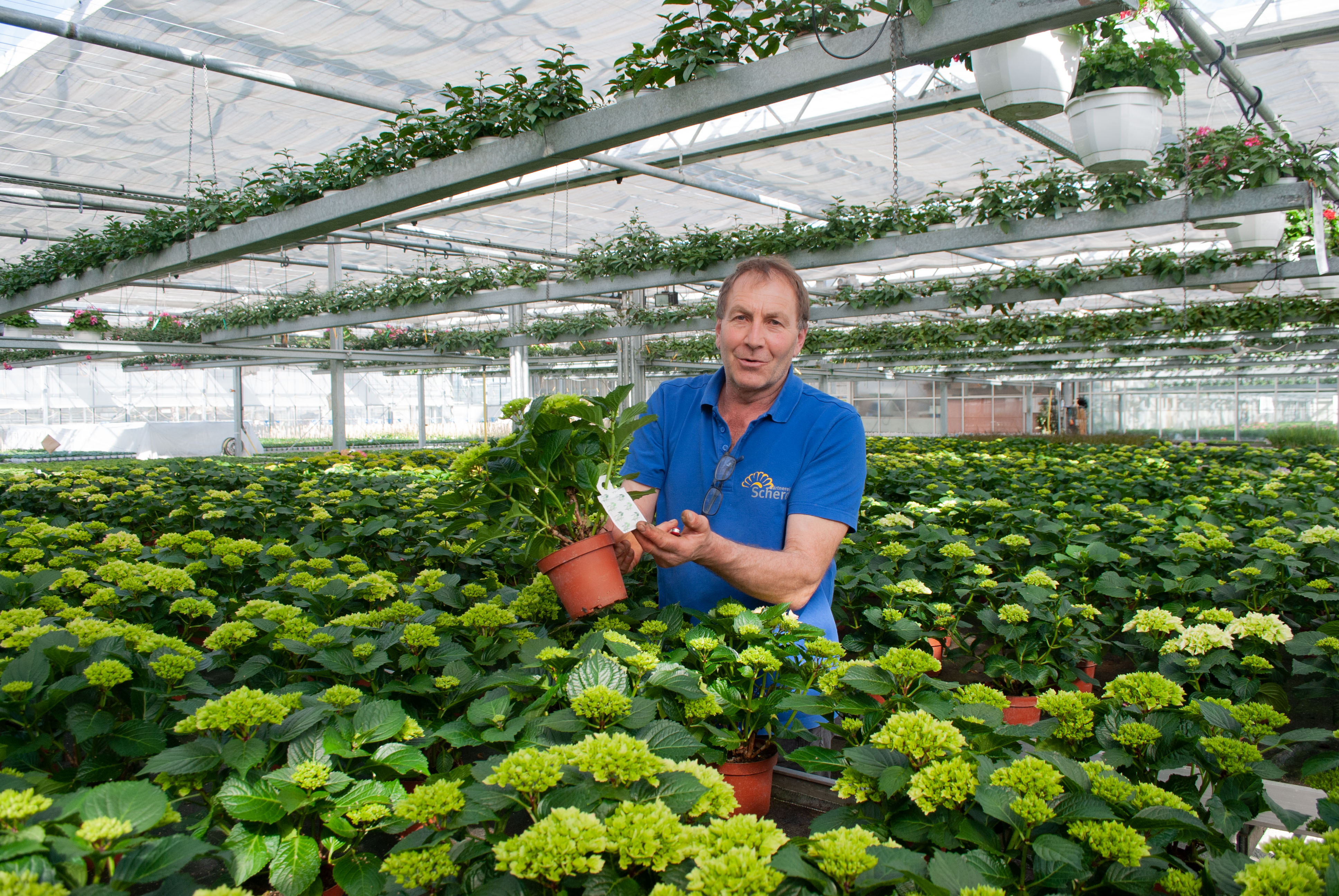 Kleine Helfer ganz nah - beim „Tag des Nützlings“ in Bayern - MuW ...
