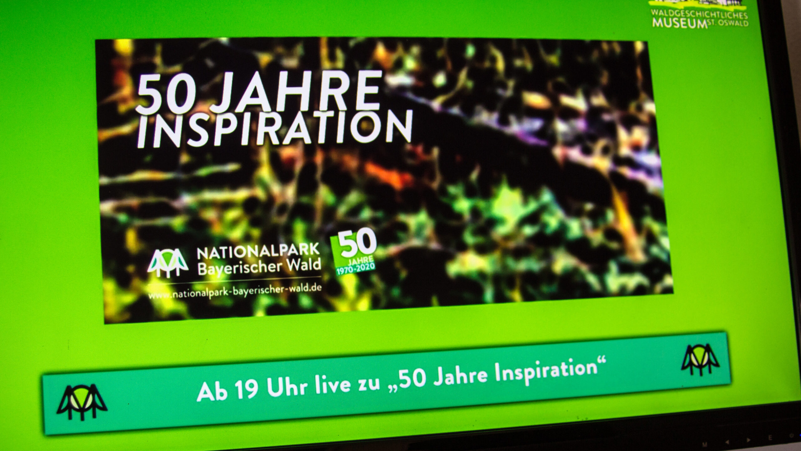 Ausstellung 50 Jahre Inspiration im Nationalpark Bayerischer Wald - MuW ...