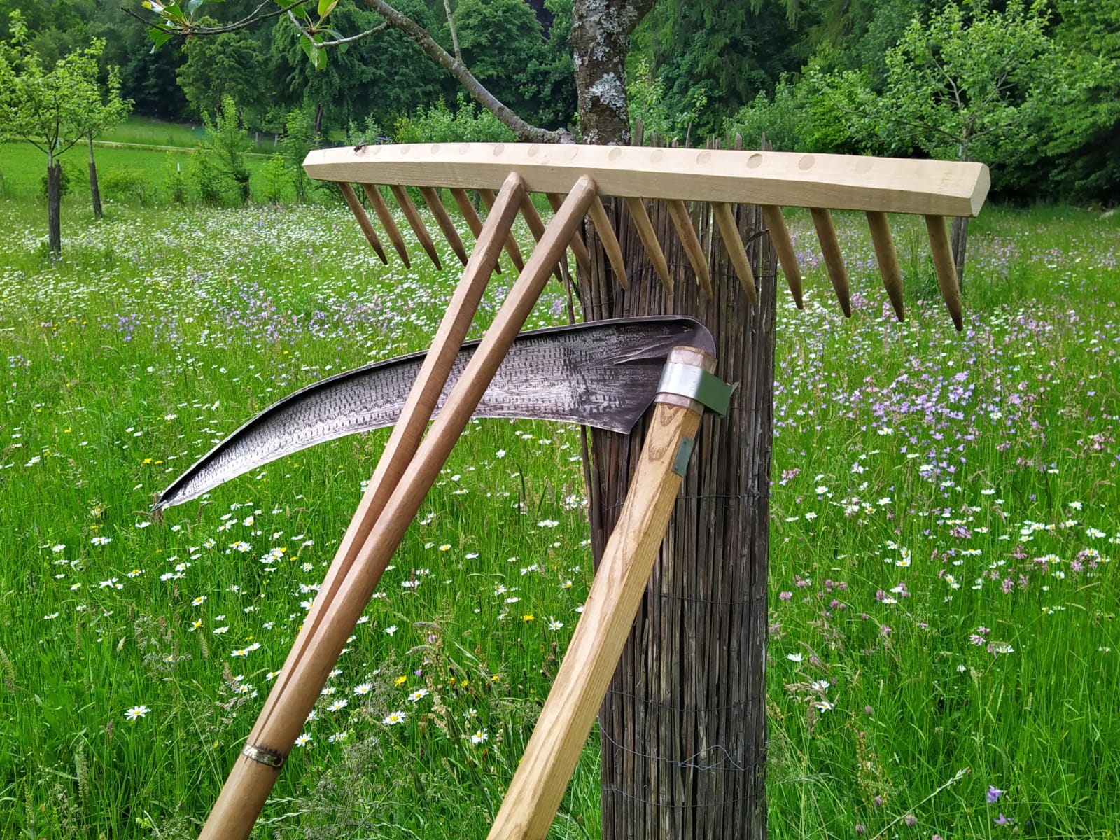 Sensen, dengeln und wetzen - nachhaltig mähen mit der Sense - MuW ...